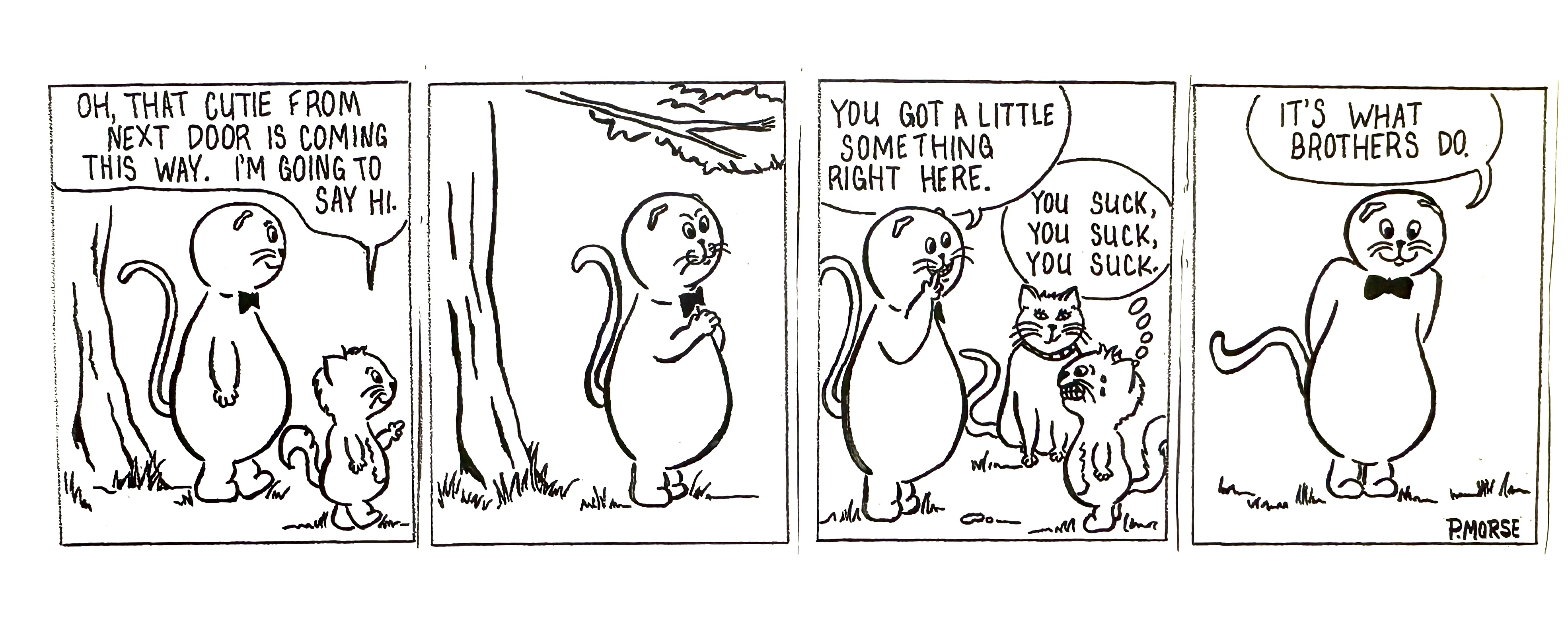 Cooper and Fitz – Sunday Comics with Cooper and Fitz