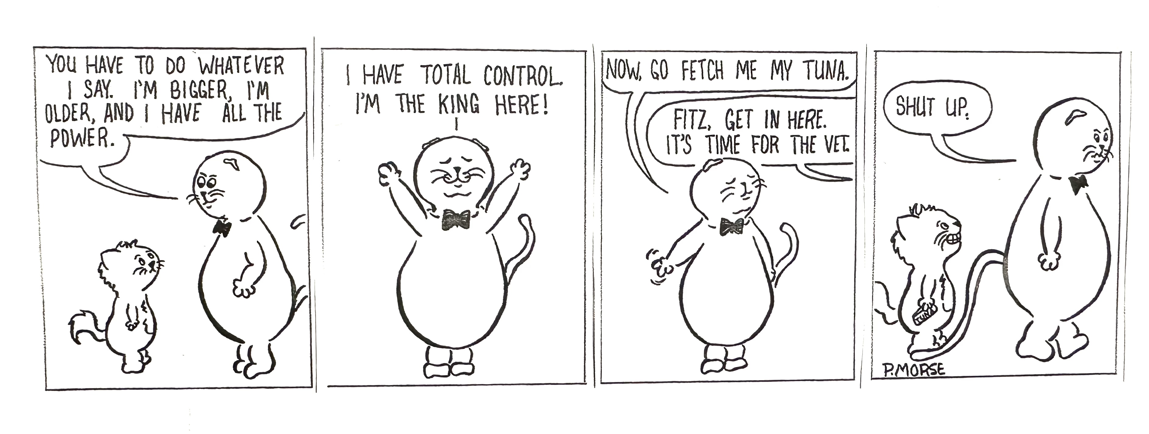 Cooper and Fitz – Sunday Comics with Cooper and Fitz