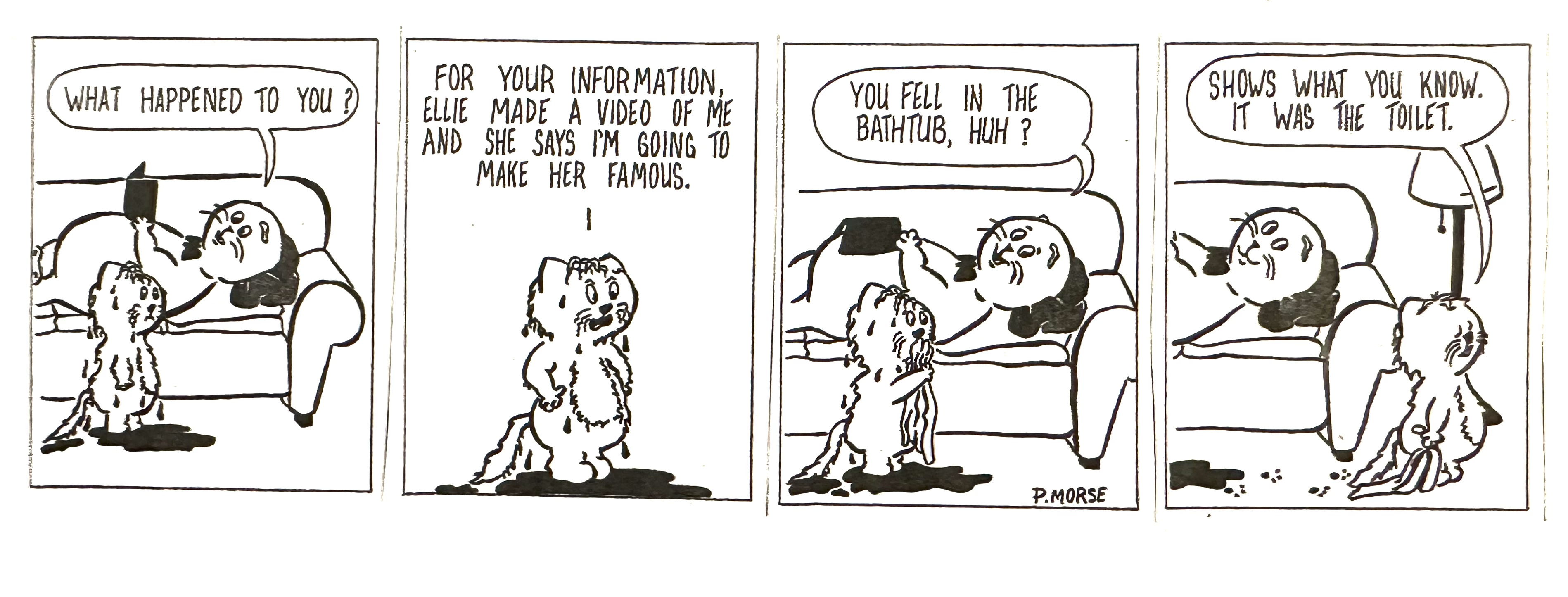 Cooper and Fitz – Sunday Comics with Cooper and Fitz