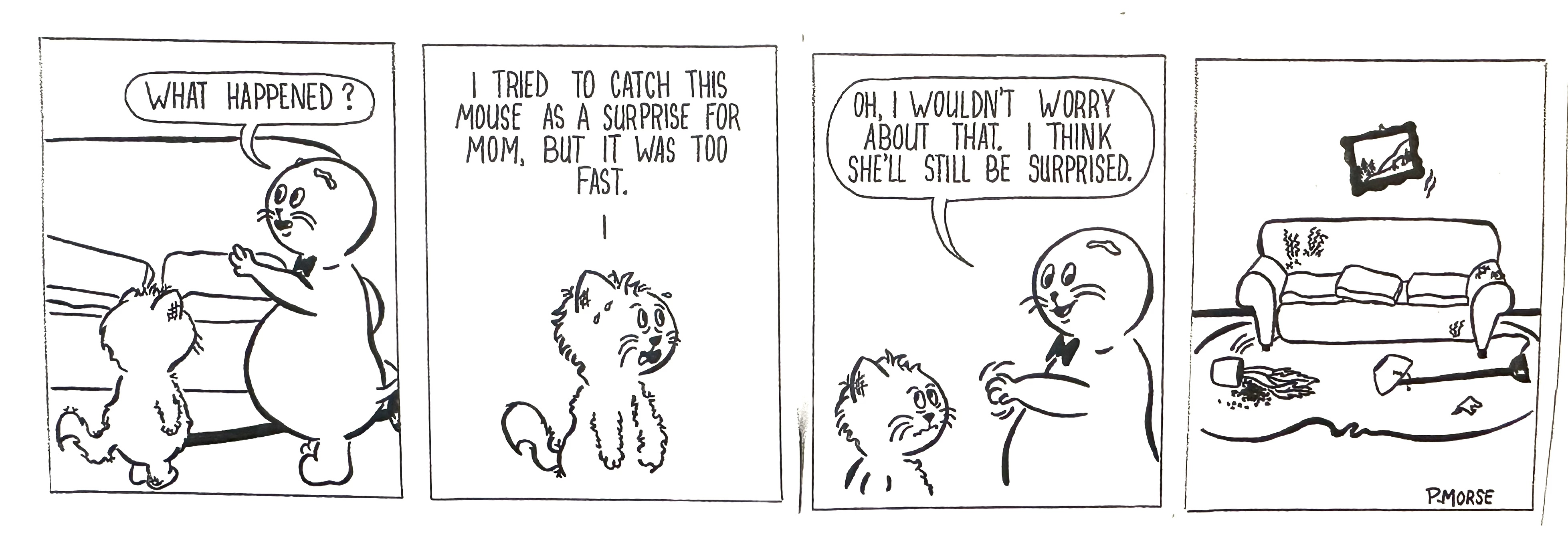 Cooper and Fitz – Sunday Comics with Cooper and Fitz