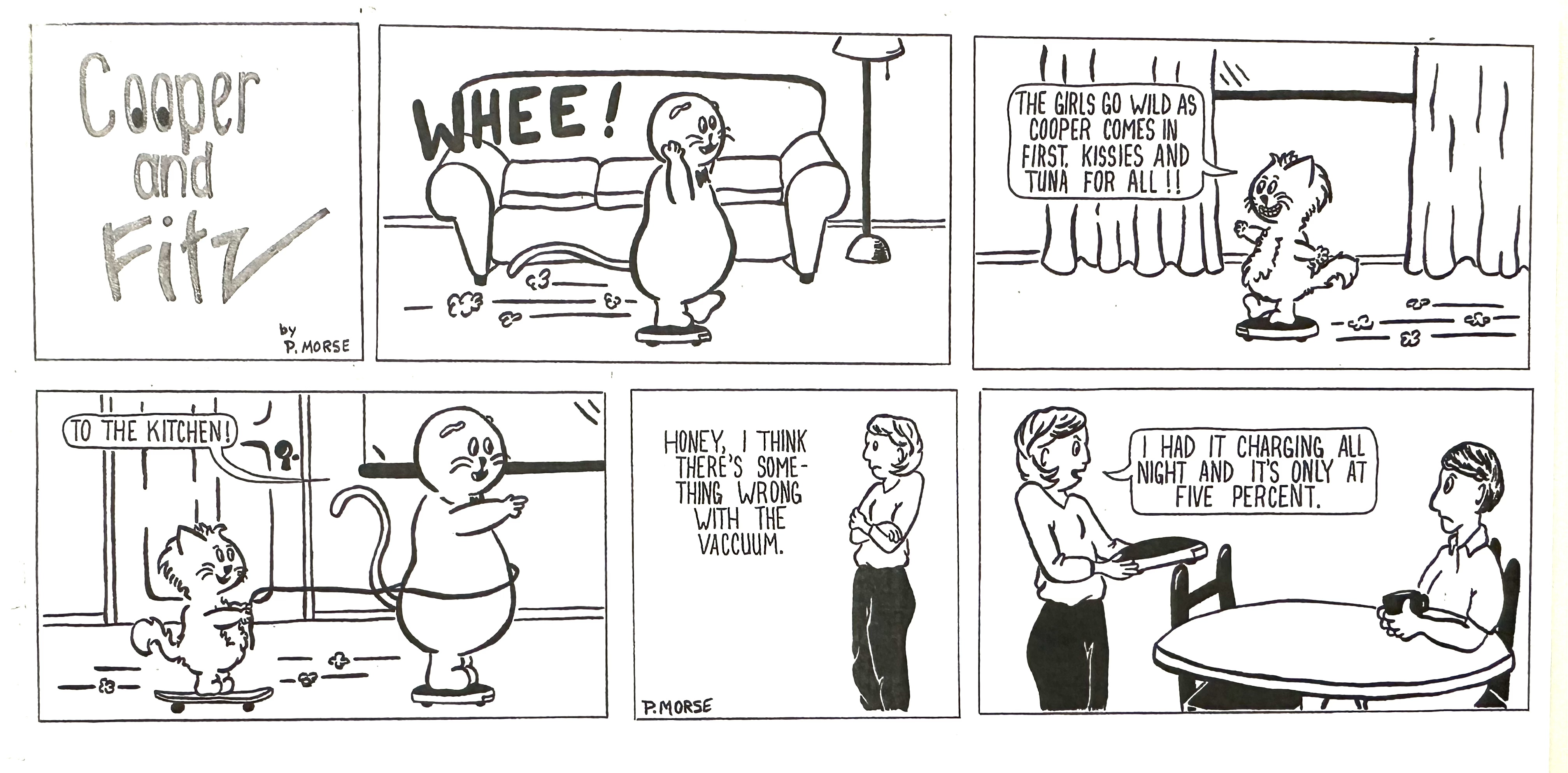 Cooper and Fitz – Sunday Comics with Cooper and Fitz