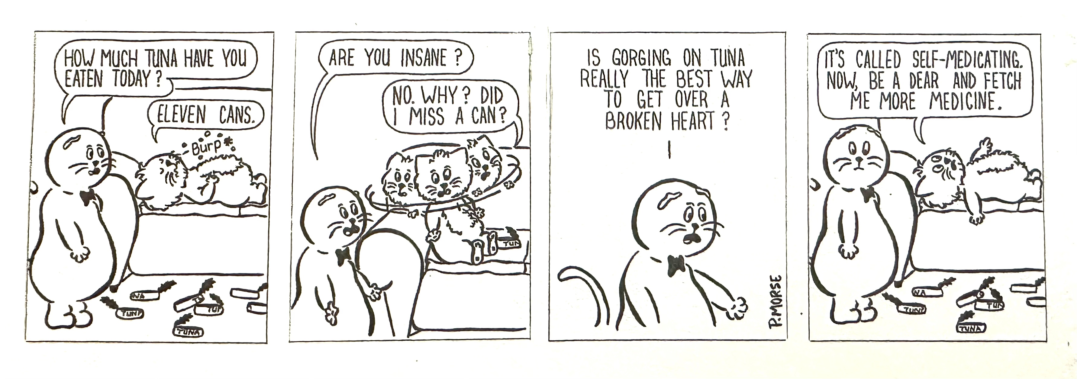 Cooper and Fitz – Sunday Comics with Cooper and Fitz