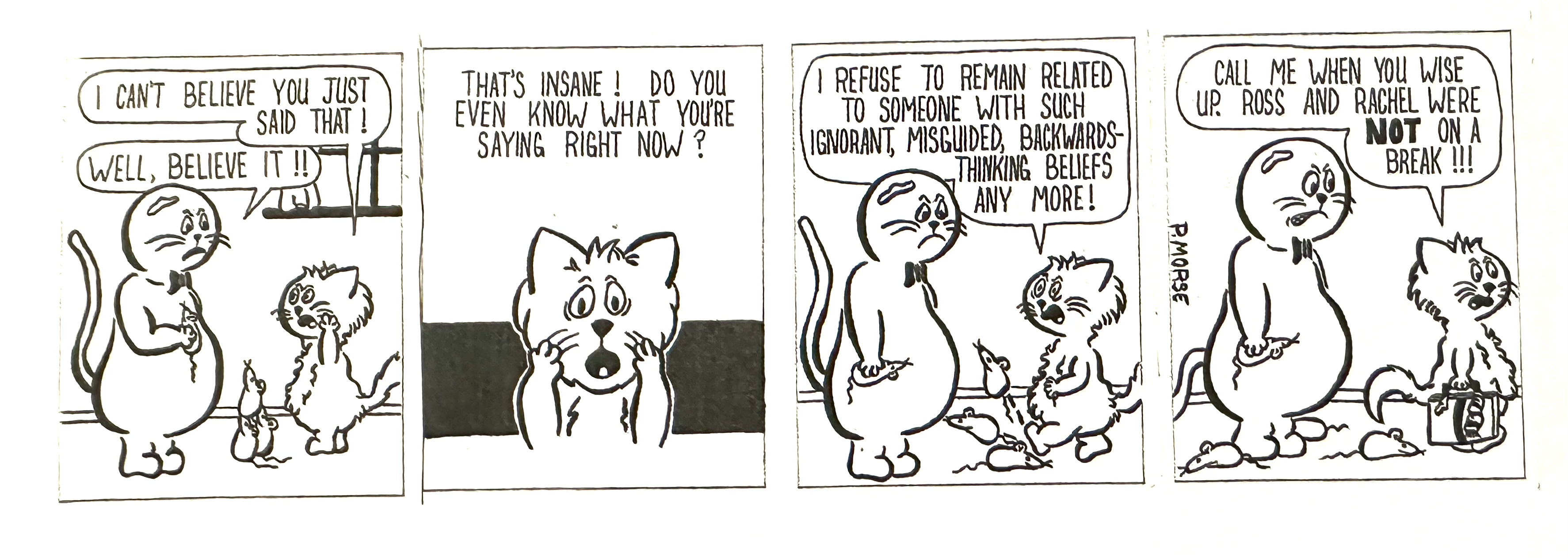 Cooper and Fitz – Sunday Comics with Cooper and Fitz