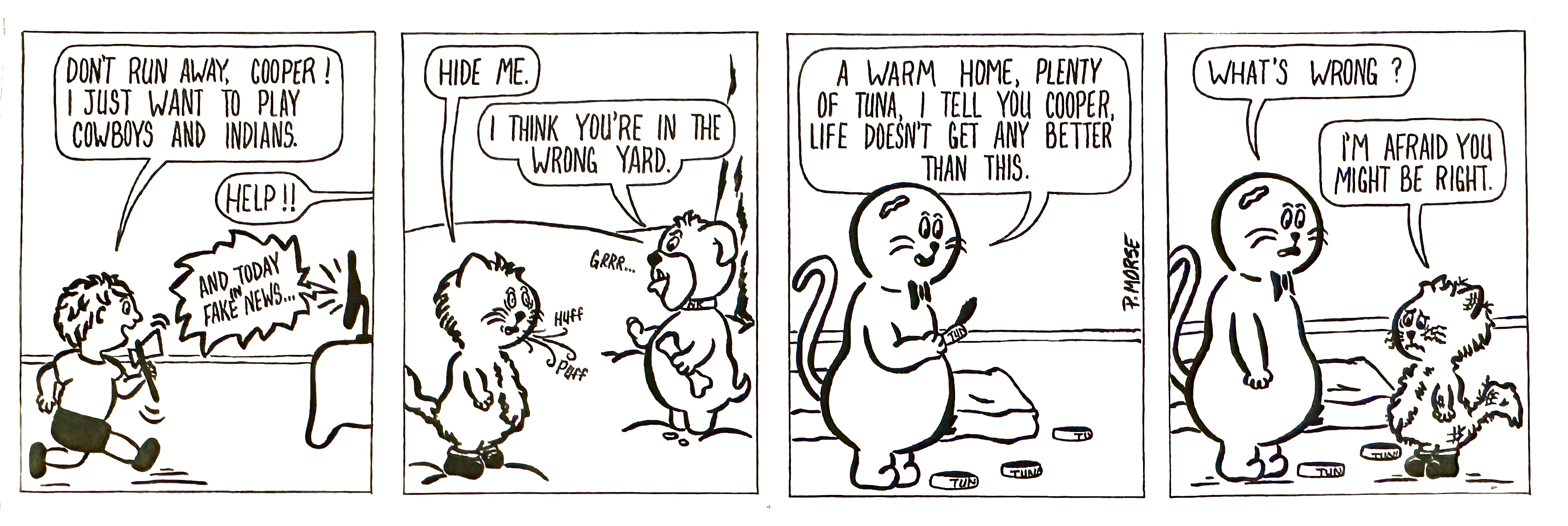 Cooper and Fitz – Sunday Comics with Cooper and Fitz