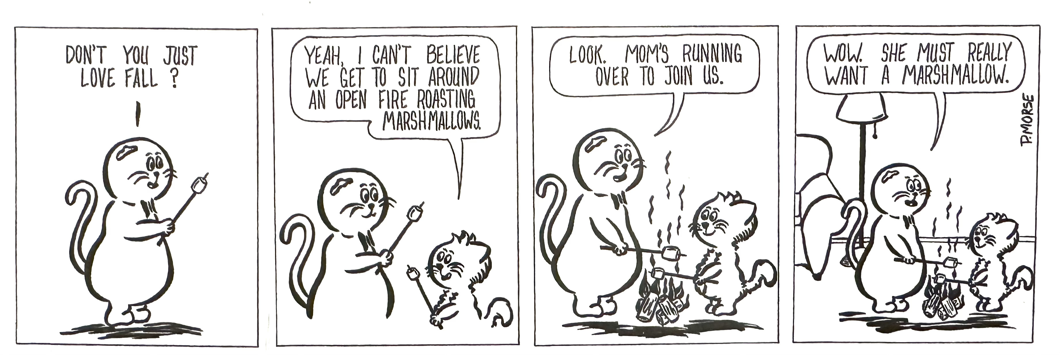 Cooper and Fitz – Sunday Comics with Cooper and Fitz