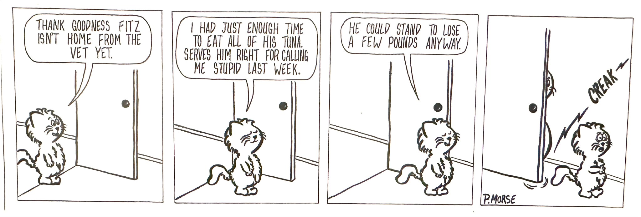 Cooper and Fitz – Sunday Comics with Cooper and Fitz